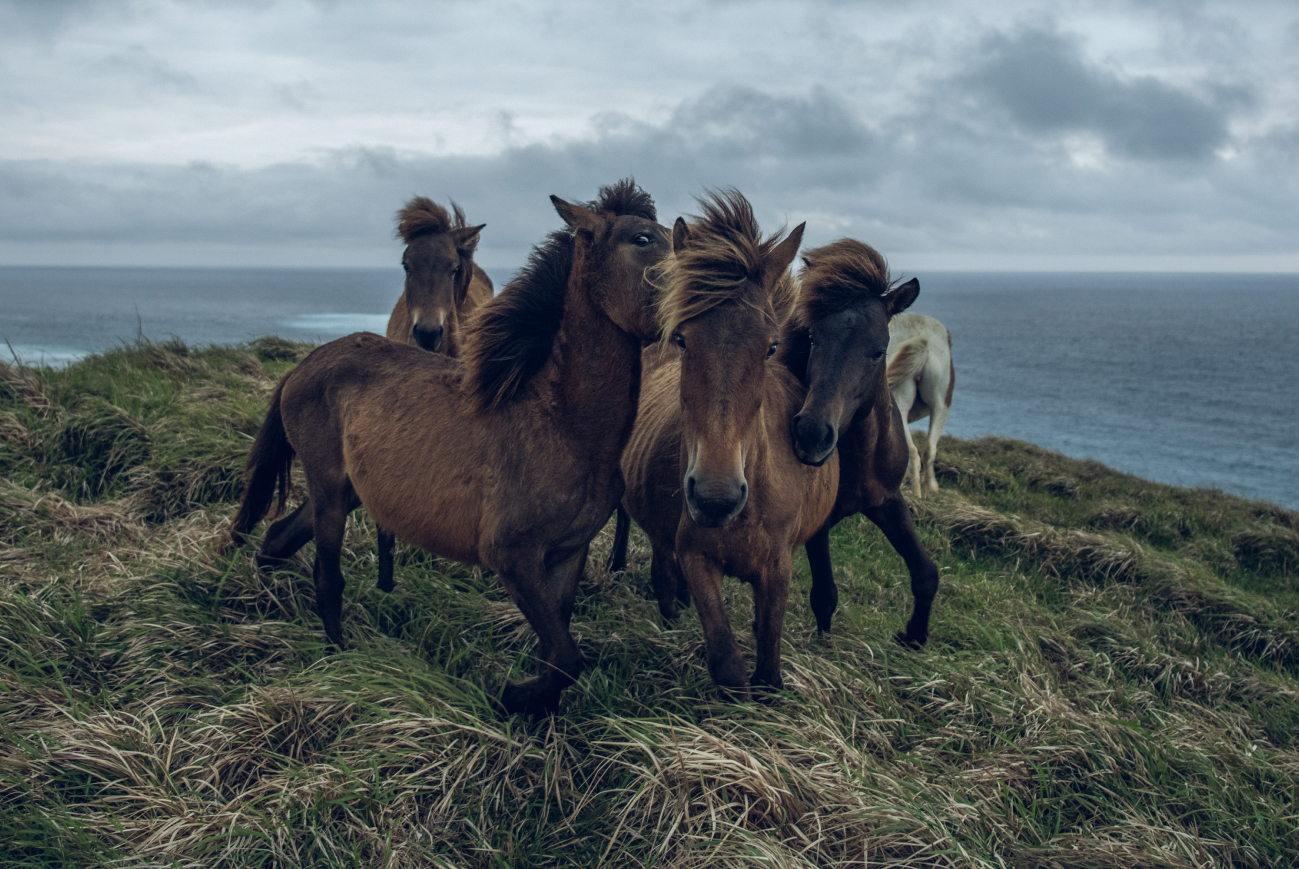 Yusuke Okada Photography