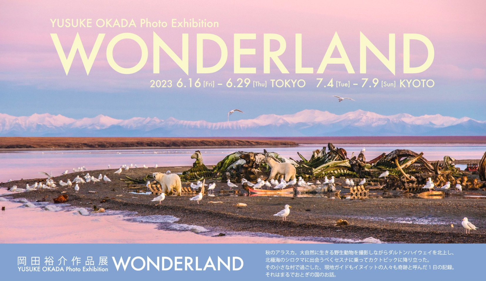 WONDERLAND（2023） - Yusuke Okada Photography