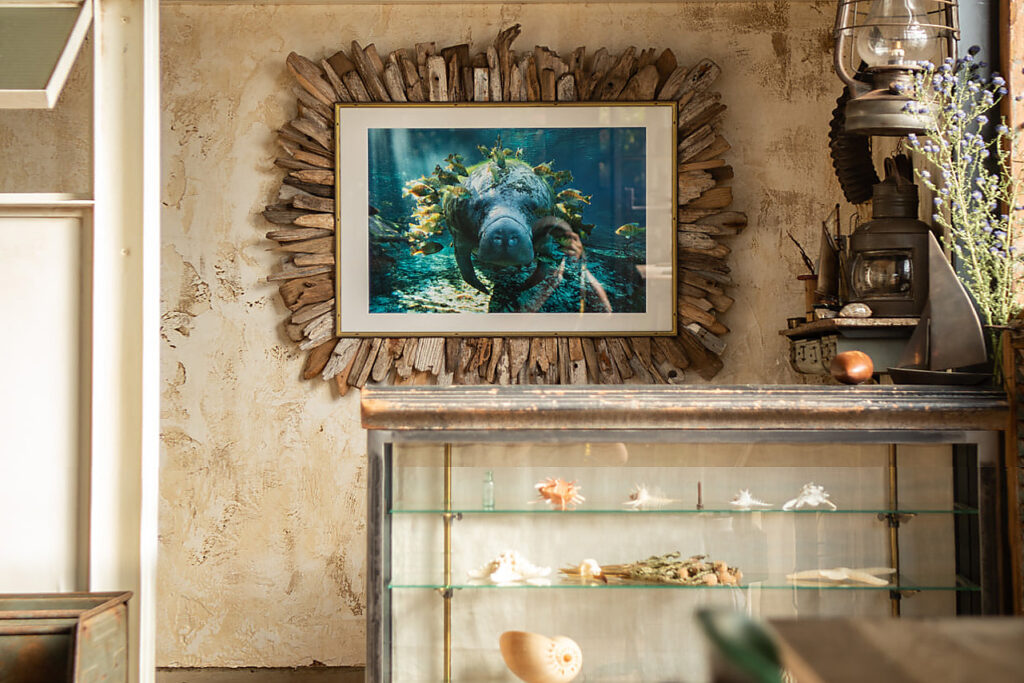 Original Print - Yusuke Okada Photography