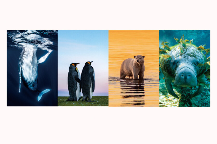 Exhibition - Yusuke Okada Photography